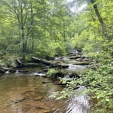 Pin-Chin-Sky Loop, Alabama - 677 Reviews, Map | AllTrails