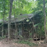 Mazeppa Park Trail, North Carolina - 465 Reviews, Map | AllTrails