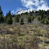 String Lake Trail, Wyoming - 2,080 Reviews, Map | AllTrails