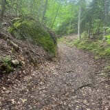 Potato Field and Maple Grove Trail Loop, New York - 366 Reviews, Map ...