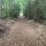 Potato Field and Maple Grove Trail Loop, New York - 318 Reviews, Map ...