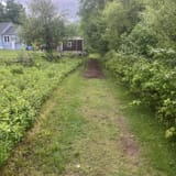 Potato Field and Maple Grove Trail Loop, New York - 318 Reviews, Map ...