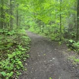 Potato Field and Maple Grove Trail Loop, New York - 366 Reviews, Map ...