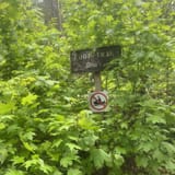 Potato Field and Maple Grove Trail Loop, New York - 352 Reviews, Map ...