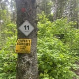 Potato Field and Maple Grove Trail Loop, New York - 352 Reviews, Map ...