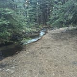 Hunter Creek Trail, Nevada - 4,593 Reviews, Map | AllTrails