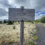 Hummocks Trail, Washington - 1,026 Reviews, Map | AllTrails