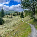 Hummocks Trail, Washington - 1,026 Reviews, Map | AllTrails