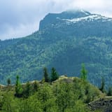 Hummocks Trail, Washington - 962 Reviews, Map | AllTrails