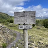 Hummocks Trail, Washington - 1,003 Reviews, Map | AllTrails