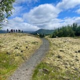 Hummocks Trail, Washington - 962 Reviews, Map | AllTrails
