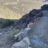 Ryan Mountain, California - 7,726 Reviews, Map | AllTrails