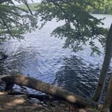 Zoar Trail, Connecticut - 2,233 Reviews, Map | AllTrails