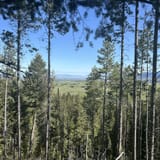 Triple Tree Trail, Montana - 1,328 Reviews, Map | AllTrails