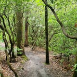 John Rock Trail Loop, North Carolina - 2,401 Reviews, Map | AllTrails