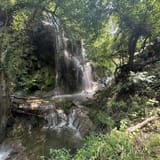 Gorman Falls Trail, Texas - 1,125 Reviews, Map | AllTrails