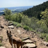 Mount Falcon Castle Trail Loop, Colorado - 4,544 Reviews, Map | AllTrails