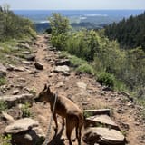 Mount Falcon Castle Trail Loop, Colorado - 4,544 Reviews, Map | AllTrails