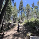 Carlon Falls Trail, California - 1,244 Reviews, Map | AllTrails