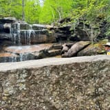 Champney Falls Trail, New Hampshire - 1,716 Reviews, Map | AllTrails