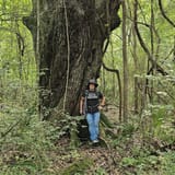 Moon Seed Loop, Louisiana - 389 Reviews, Map | AllTrails