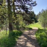 Eagle's View Trail Loop, Colorado - 3,139 Reviews, Map | AllTrails