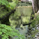 Catamount Hill Trail and One Mile Trail Loop, New Hampshire - 614 ...