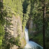 Toketee Falls, Oregon - 2,152 Reviews, Map | AllTrails