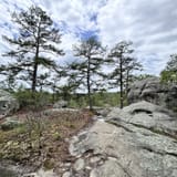 Trail Through Time, Missouri - 2,661 Reviews, Map | AllTrails