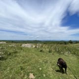 Black Ridge Trail, Virginia - 655 Reviews, Map | AllTrails