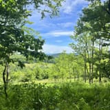Black Ridge Trail, Virginia - 655 Reviews, Map | AllTrails