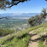 Big Beacon Mount Wire Trail, Utah - 1,579 Reviews, Map | AllTrails