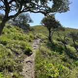 Big Beacon Mount Wire Trail, Utah - 1,579 Reviews, Map | AllTrails