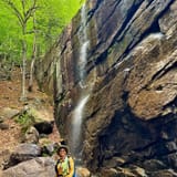 Champney Falls Trail, New Hampshire - 1,716 Reviews, Map | AllTrails