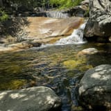 Champney Falls Trail, New Hampshire - 1,716 Reviews, Map | AllTrails