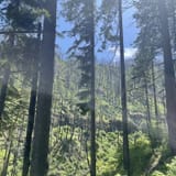 Oneonta Trail, Oregon - 724 Reviews, Map | AllTrails