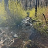 Cub Lake Loop, Colorado - 2,149 Reviews, Map | AllTrails