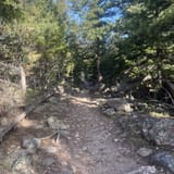 Cub Lake Loop, Colorado - 2,093 Reviews, Map | AllTrails