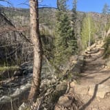 Cub Lake Loop, Colorado - 2,093 Reviews, Map | AllTrails