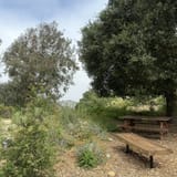 Fryman Canyon Trail, California - 6,404 Reviews, Map | AllTrails