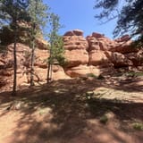 Red Rocks Trail, Colorado - 1,185 Reviews, Map | AllTrails