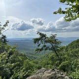 Lewis Spring Falls Trail, Virginia - 1,546 Reviews, Map | AllTrails