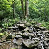 Lewis Spring Falls Trail, Virginia - 1,546 Reviews, Map | AllTrails