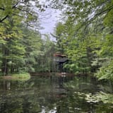 Dow Gardens Canopy Walk, Michigan - 138 Reviews, Map | AllTrails
