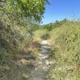 Puddingstone Reservoir Lake View and Park Trail Loop, California - 610 ...