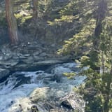 Grass Lake, California - 577 Reviews, Map | AllTrails