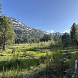 Grass Lake, California - 577 Reviews, Map | AllTrails