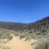 Rinconada Canyon Trail, New Mexico - 1,932 Reviews, Map | AllTrails