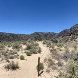 Rinconada Canyon Trail, New Mexico - 1,932 Reviews, Map | AllTrails
