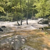 Mouse Creek Falls via Big Creek Trail, Tennessee - 2,838 Reviews, Map ...